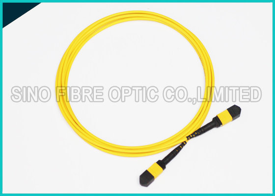 40Gbps 3.0mm 12 Array MPO to MPO Singlemode SMF-28e Fibre Optical Riser Rated Patch Cable