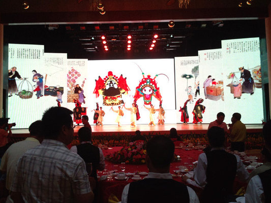 Full Color P12.50 LED Video Curtain High Resolution LED Display OEM ODM