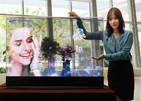 Exclusive Agency 4010 SMD P6 Transparent Oled Display For Advertising