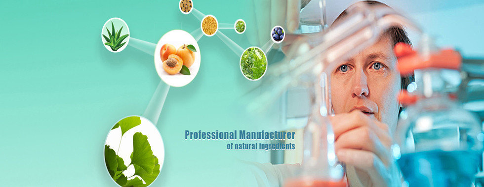 Plant Extract Powder