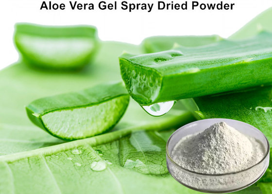 Water Soluble Aloe Vera Juice Powder Spray Dried, Pure Aloe Vera Powder Anti - Bacterial For Skin