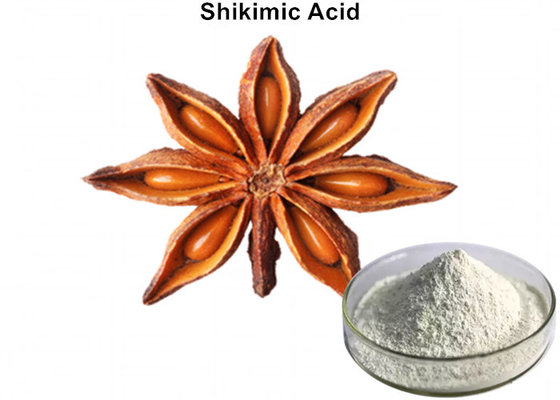 Popular White Shikimic Acid Powder, Natural Anti Tumor Star Anise Extract
