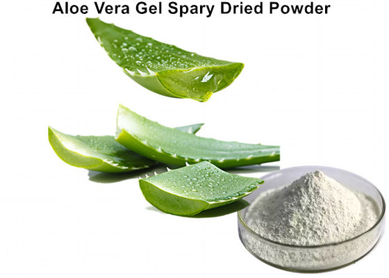 Water Soluble Aloe Vera Juice Powder Spray Dried, Pure Aloe Vera Powder Anti - Bacterial For Skin