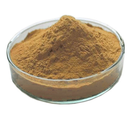 Low Ginkgolic Acid Ginkgo Biloba Leaf Extract Powder Effective Dilate Blood Vessels