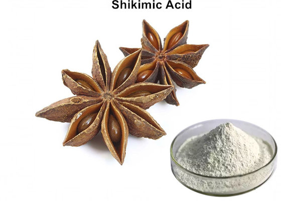 Popular White Shikimic Acid Powder, Natural Anti Tumor Star Anise Extract