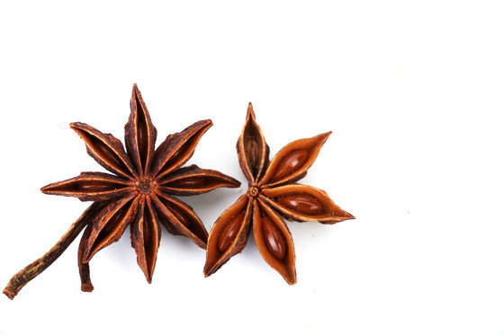 Popular White Shikimic Acid Powder, Natural Anti Tumor Star Anise Extract