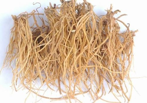 Liver Protection Gentiana Scabra Bunge , Healthy 98% Gentiopicroside Powder