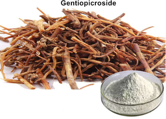 Liver Protection Gentiana Scabra Bunge , Healthy 98% Gentiopicroside Powder