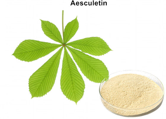 Light Yellow 98% Aesculetin Crystal Powder For Antibacterial Esculetin