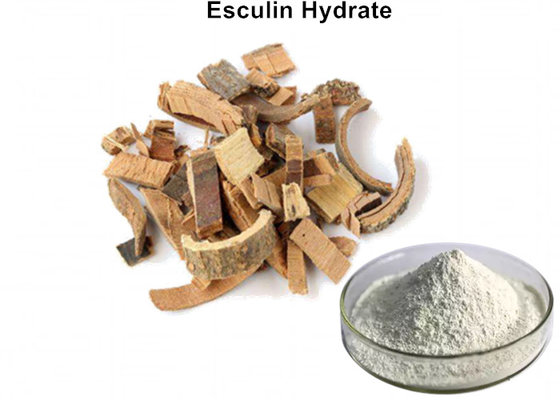Reliable Monomer Powder Pure 98% Esculin Hydrate White Powder CAS 531 75 9