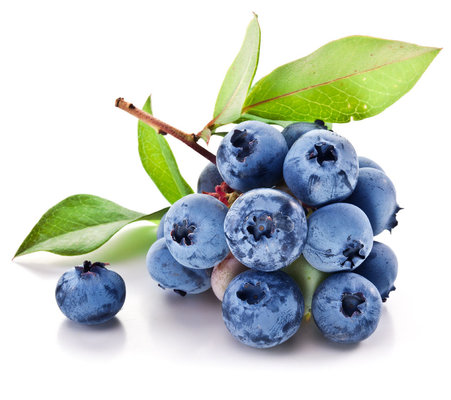 Natural Blueberry Juice Powder For Drinks, Organic Wild Blueberry Powder