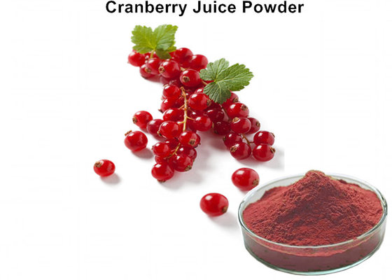 Pure Cranberry JFruit Juice Powder High Proantho Cyanidins For Function Foods
