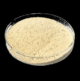 Light Yellow Organic Mango Juice Powder , Food Grade Raw Mango Drink Powder Nutrition
