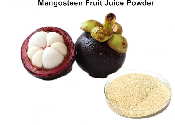 100% Pure Natural Mangosteen Fruit Juice Powder Good Solubility Healing Burns And Scalds