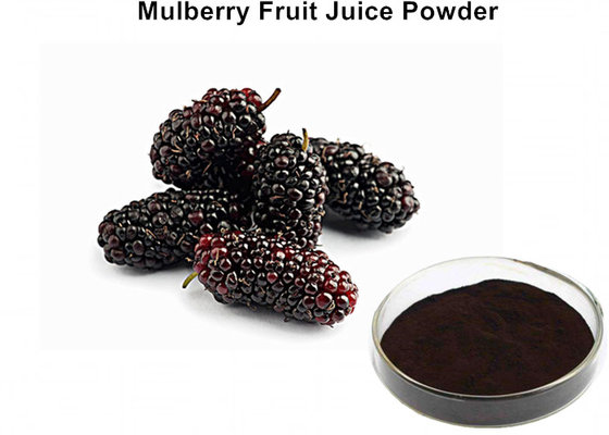 Dark Purple Mulberry Fruit Powder , Beverage Additive Organic Fruit Fresh Powder