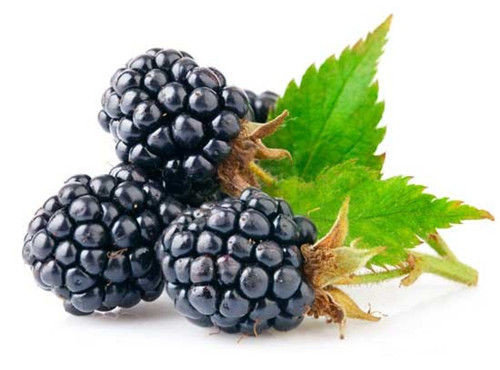Dark Purple Mulberry Fruit Powder , Beverage Additive Organic Fruit Fresh Powder
