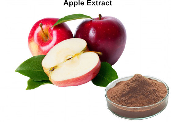 Natural Fruit Extract Powder 80% Polyphneols Apple Extract Antioxidant Powder