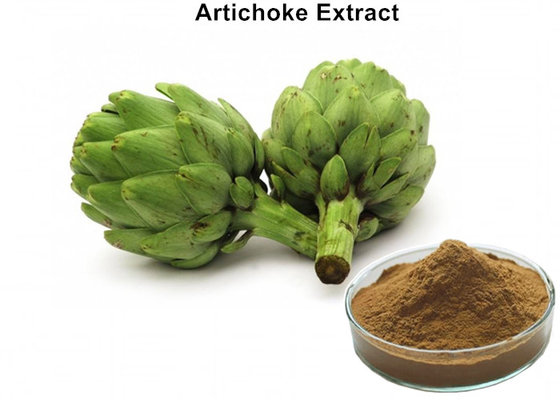 Artichoke Leaf Extract Plant Extract Powder Cynarin And Chlorogenic Acid For Weight Loss