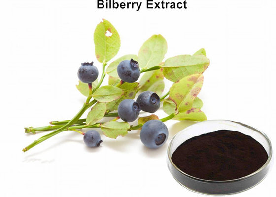Pure Dark Bilberry Fruit Extract For Eyes Health, Organic Natural Plant Extracts
