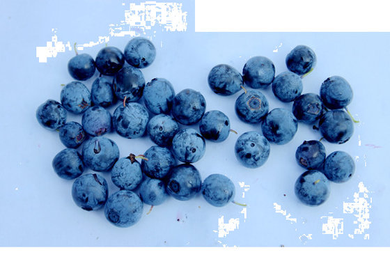 Pure Dark Bilberry Fruit Extract For Eyes Health, Organic Natural Plant Extracts