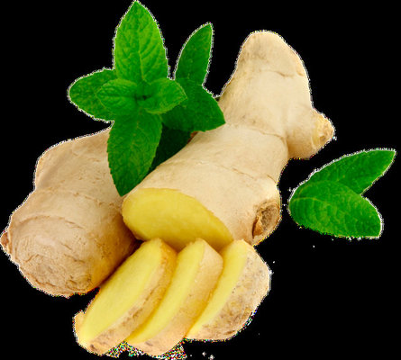 Ginger Root Plant Extract Powder 5% Gingerols Light Brown Powder For Liver Protection