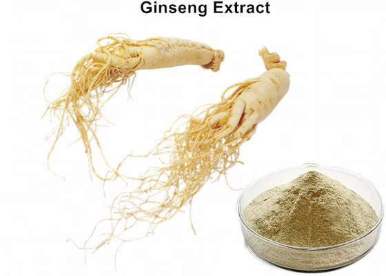 5% Ginsenosides Panax Ginseng Root Extract powder Anti-fatigue