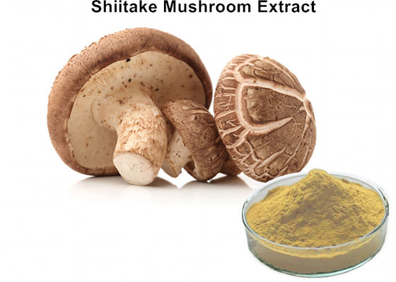 30% Lentinan Shiitake Mushroom Polysaccharides Extract Brown Yellow Powder Anti - Virus