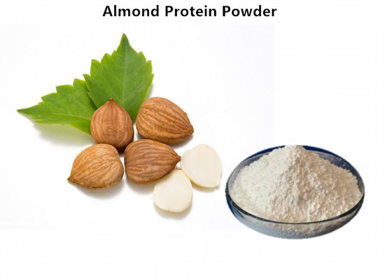 Natural Organic Plant Protein Powder Off White Almond Protein Almond Extract Powder