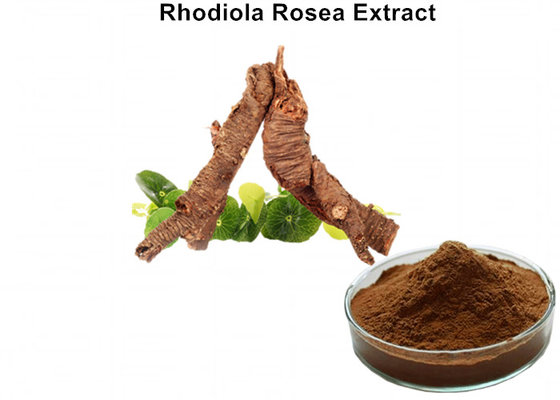 Improving Memory Siberian Rhodiola Root Extract , Pure Natural Plant Extracts