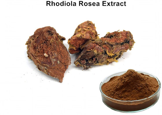 Improving Memory Siberian Rhodiola Root Extract , Pure Natural Plant Extracts
