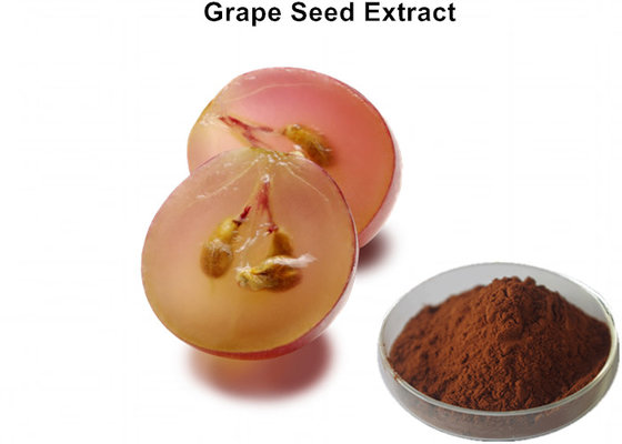 Healthy Care Grapeseed Extract 95% Polyphenols, Anti - Oxidant Grapeseed Oil Extract  For Skin