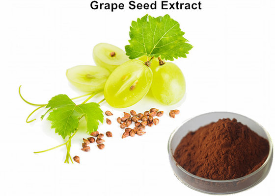 Healthy Care Grapeseed Extract 95% Polyphenols, Anti - Oxidant Grapeseed Oil Extract  For Skin