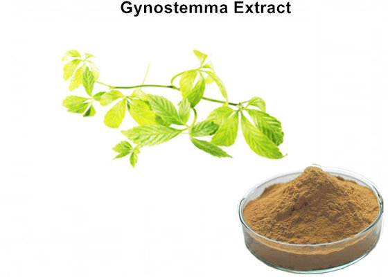 Anti - Cancer Gynostemma Pentaphyllum Leaf Extract , Gynostemma Extract Powder Anti - Aging