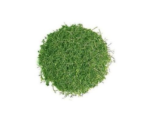 Anti - Cancer Gynostemma Pentaphyllum Leaf Extract , Gynostemma Extract Powder Anti - Aging