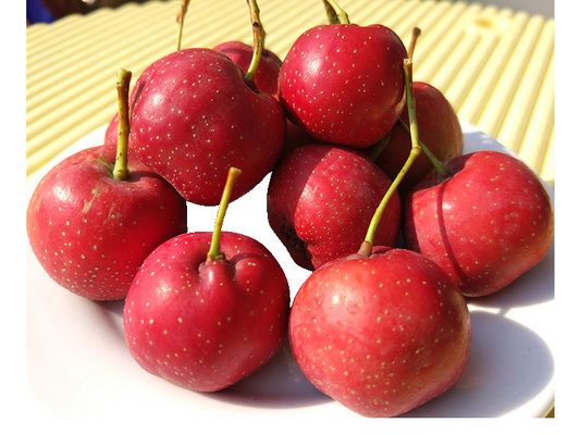 5% Flavonoids Hawthorn Extract For High Blood Pressure , Hawthorn Berry Extract Powder