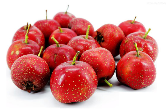 5% Flavonoids Hawthorn Extract For High Blood Pressure , Hawthorn Berry Extract Powder