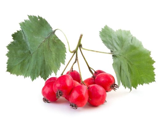 Hawthorn Leaf Plant Extract Powder 3% Vitexin Lowering Blood Pressure And Blood Fat