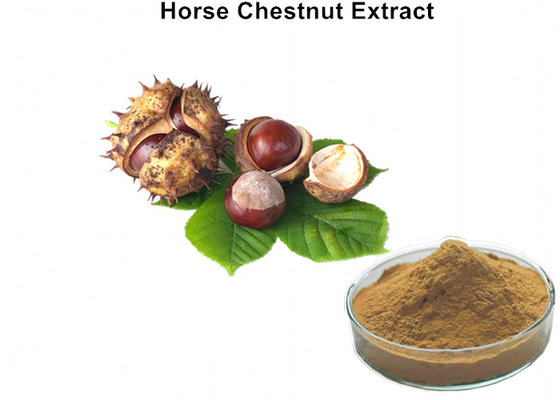High Standard  horse chestnut powder , Horse Chestnut Extract for varicose veins