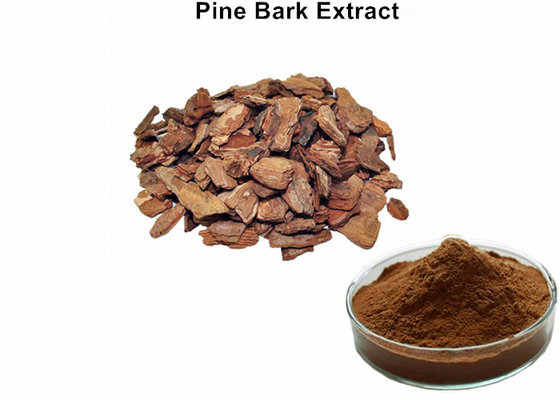 95% Proanthocyanidins Anthocyanin Extract Powder Pine Bark Extract Preventing Angiocardiopathy