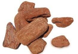 95% Proanthocyanidins Anthocyanin Extract Powder Pine Bark Extract Preventing Angiocardiopathy