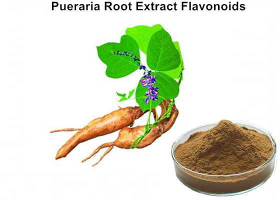 Pueraria Natural Plant Extracts 40% Flavonoids for Hangover breast enhancement / postponed female menopause