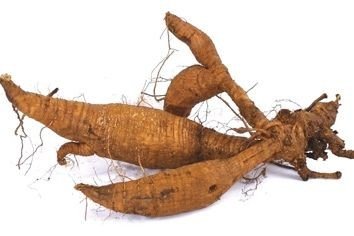 Medical Pueraria Mirifica Powder Root Extract , Pueraria Lobata Root Extract For Spasmolysis