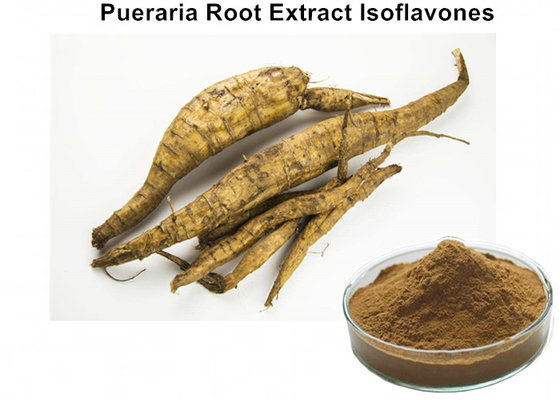 Medical Pueraria Mirifica Powder Root Extract , Pueraria Lobata Root Extract For Spasmolysis