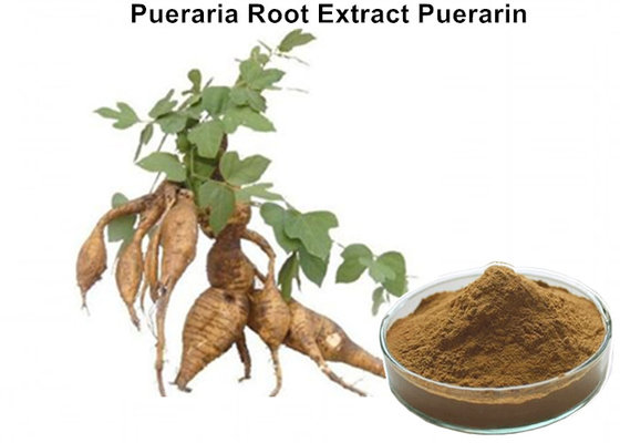 Pueraria lobata (Willd.) Ohwi Plant Extract Pueraria Root Extract 10% Puerarin HPLC Powder