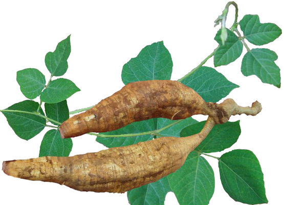 Pueraria lobata (Willd.) Ohwi Plant Extract Pueraria Root Extract 10% Puerarin HPLC Powder