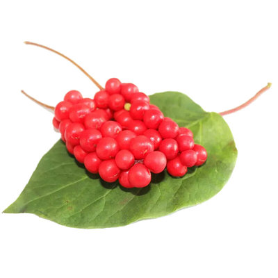 Enhance Liver Detoxification Fruit Extract Powder 9% Schizandrins Schisandra Extract