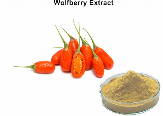 Heathy Chinese Wolfberry Extract , Lowering Blood Fat Goji Berry Extract Powder