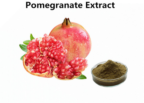 Supplements Fruit Extract Powder Pure Natural 30% Punicalagin Pomegranate Extract