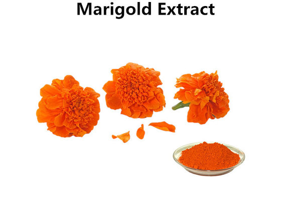 Orange Red Powder Natural Food Pigments Lutein Marigold Extract Slowing Atherosclerosis