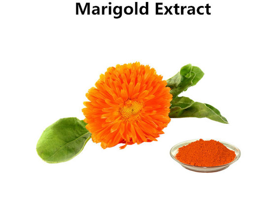 Eye Protection Natural Food Coloring Powder , 5% Marigold Flower Extract  Zeaxanthin Powder